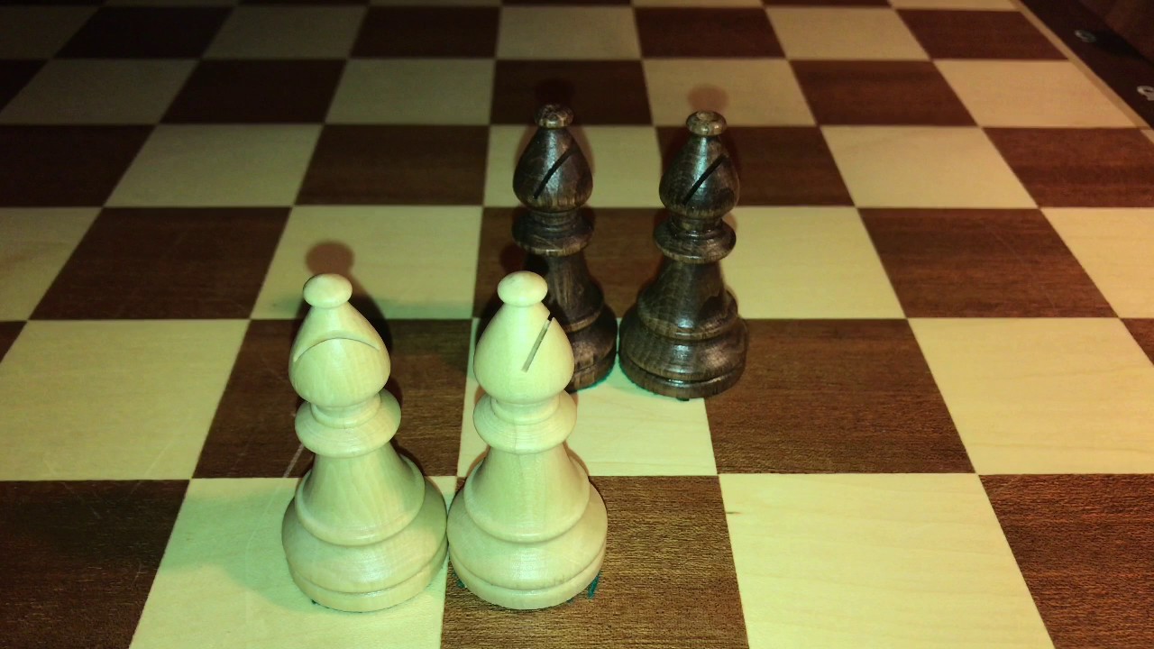 Chess: How to use the bishop movement instructions and position DIY ...