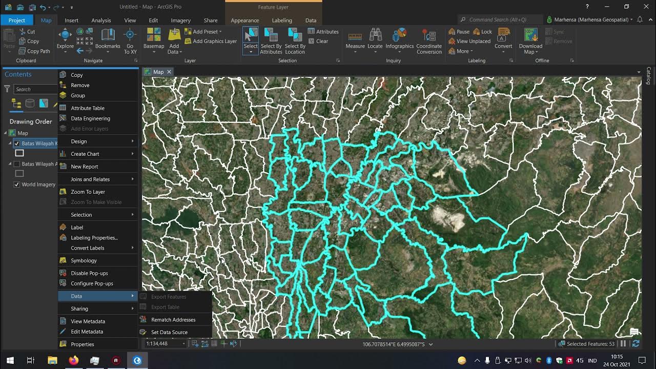 Download WFS ArcGIS Server FeatureService with ArcGIS Pro | Feature Access / Data Export ...