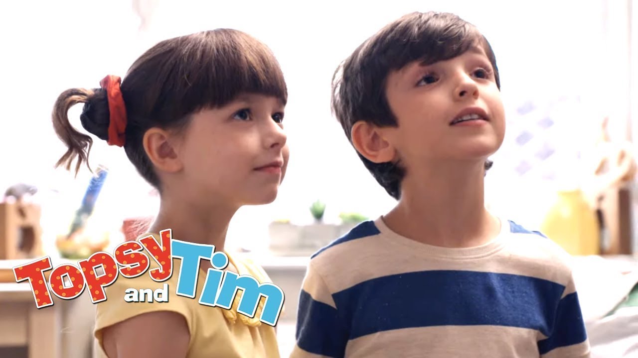Wrapping Paper & Dressing up | Topsy & Tim Double episode 123-124 | HD ...