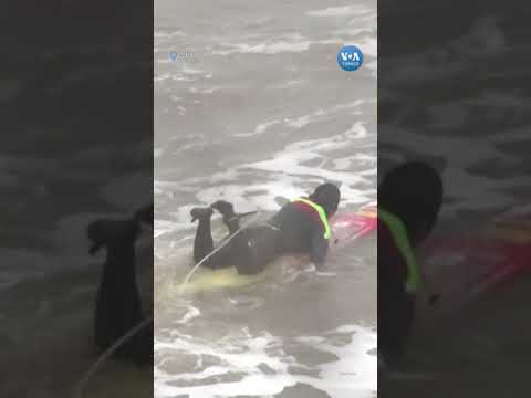 California’da dev dalgalar sörfçüleri sevindirdi| VOA Türkçe