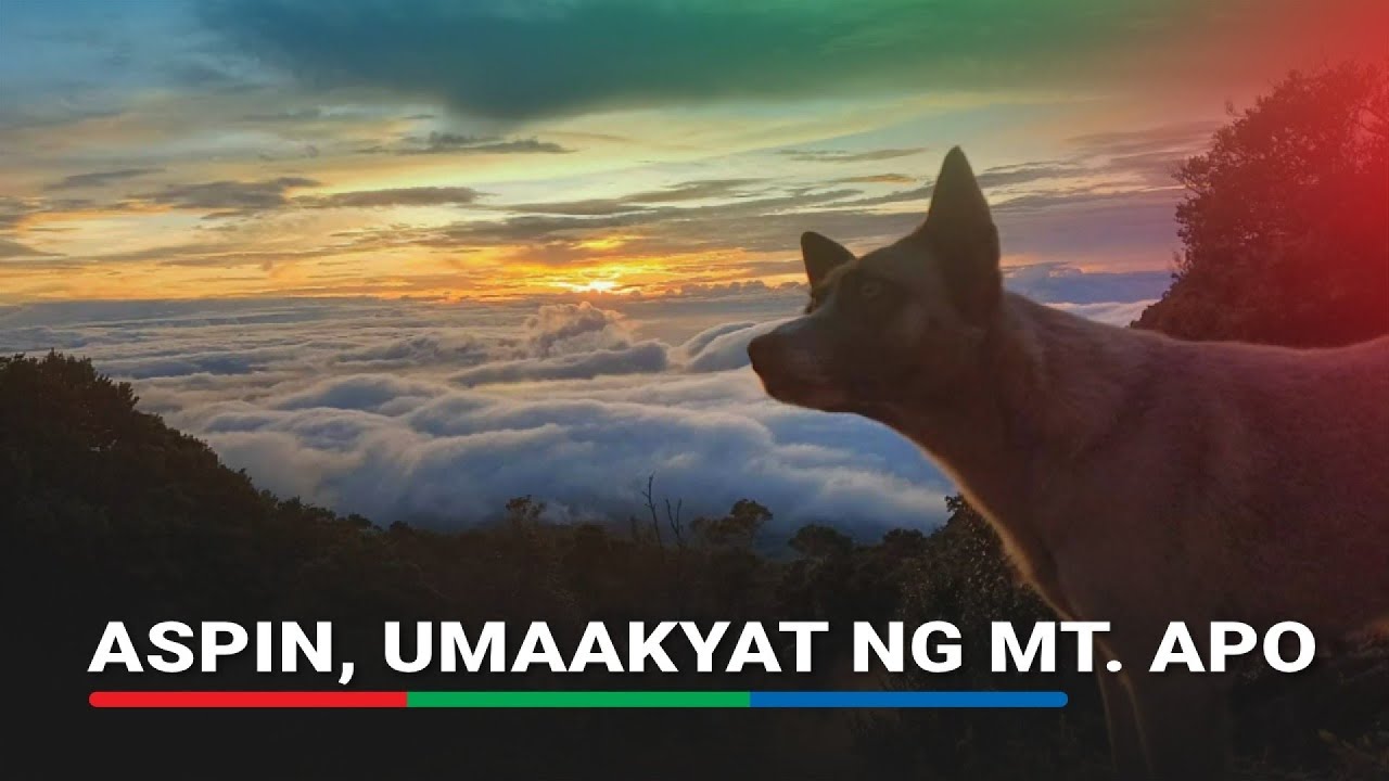 KILALANIN: Aspin na umaakyat ng Mount Apo | ABS-CBN News - YouTube