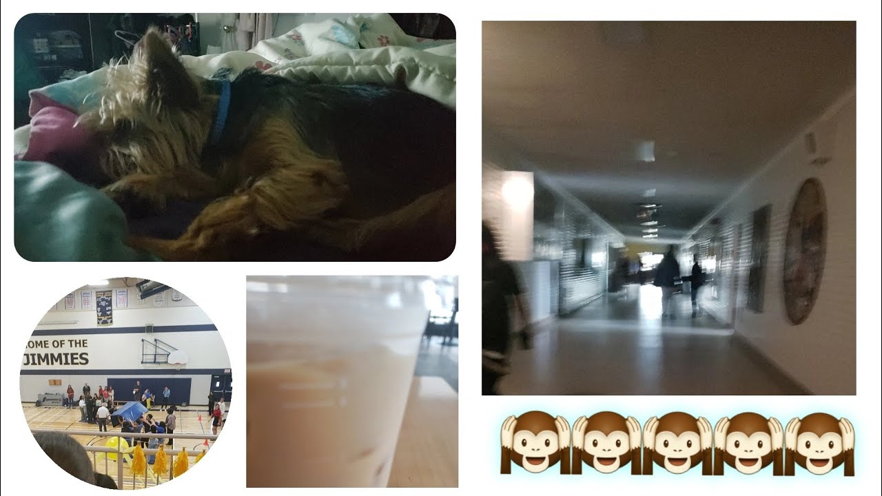 SCHOOL: final grade wars + a few other things - YouTube