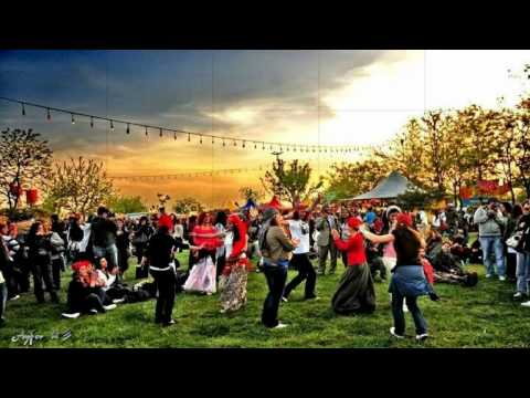 Sözlü Roman oyun havası - Danalar girmiş bostana ☆彡