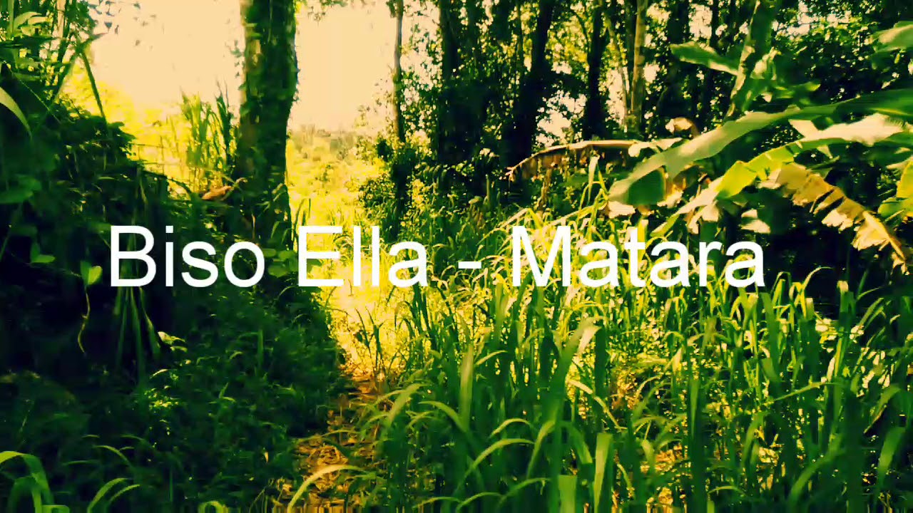 Matara waterfall ( මාතර දිය ඇළි) Biso Ella ( බිසෝ ඇල්ල) - YouTube