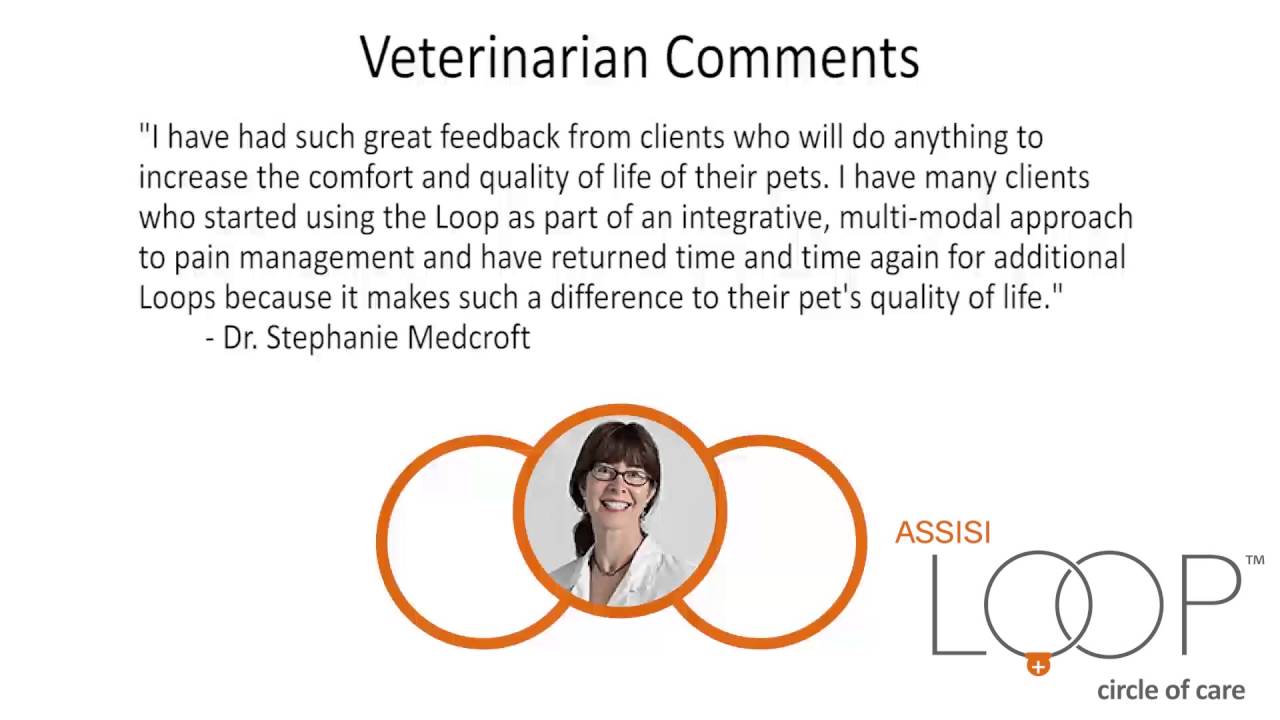 Assisi Loop 2 minutes for veterinarians - YouTube