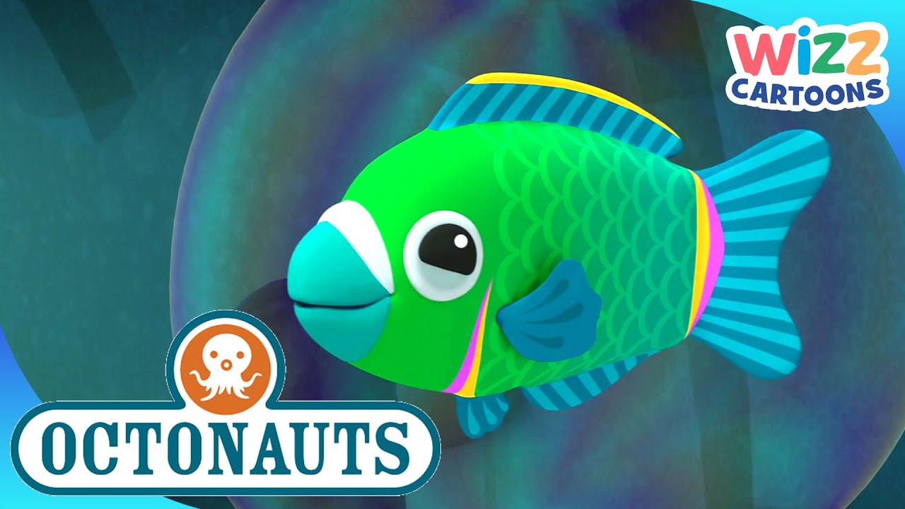 @Octonauts - Colourful Sea Creatures | Compilation | Wizz Cartoons ...