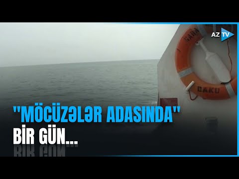 Beynəlxalq səyyahlar \