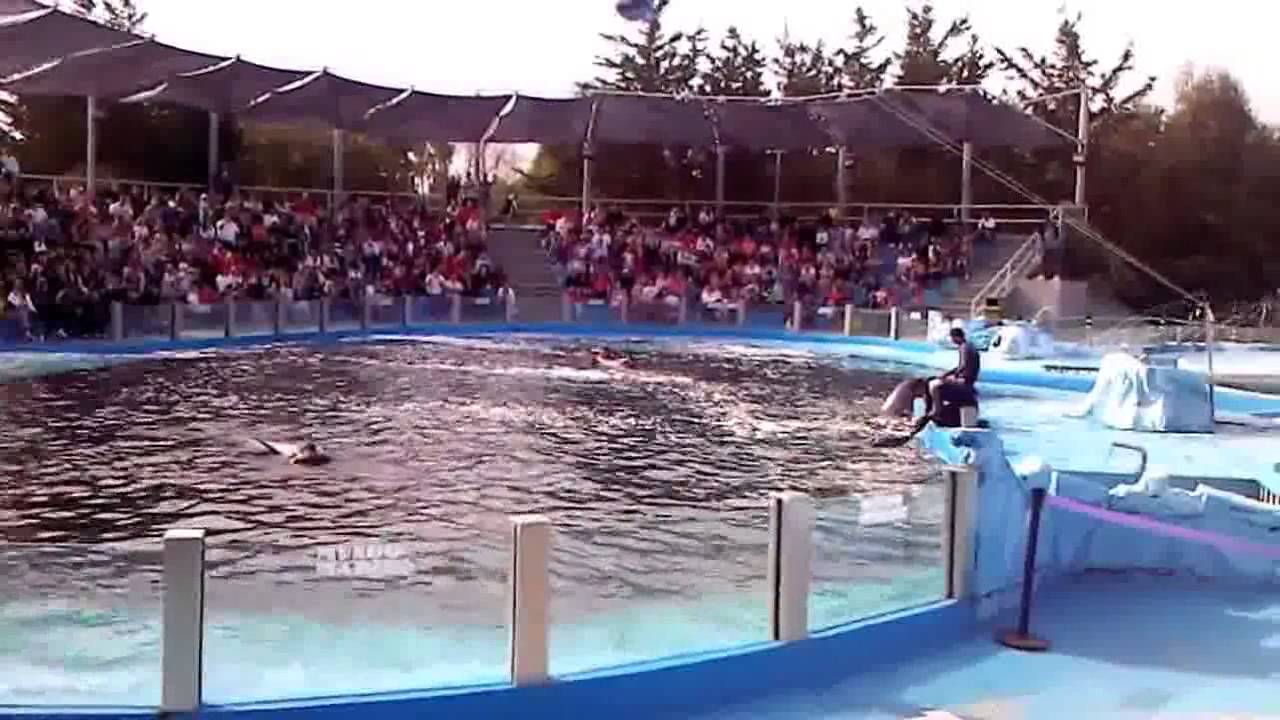 Mundo Marino, San Clemente del Tuyu, Argentina - YouTube