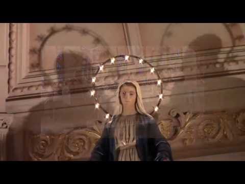 Salve Regina - Petrich