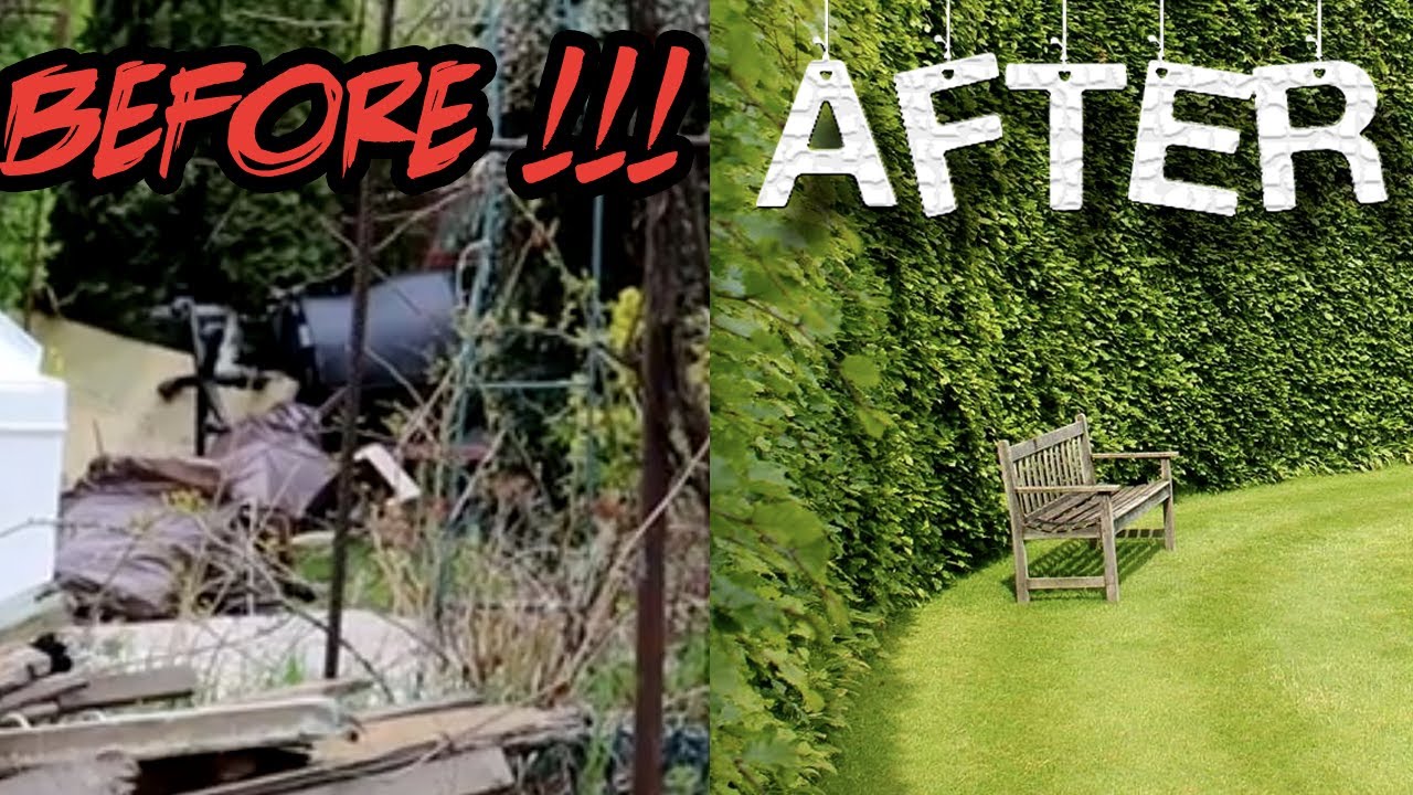 How To Create A Natural Privacy Wall FAST and Mistakes to avoid! - YouTube