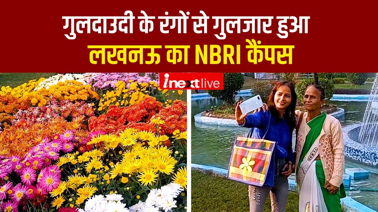 Grand flower exhibition in NBRI Lucknow Campus, more than 500 varieties ...