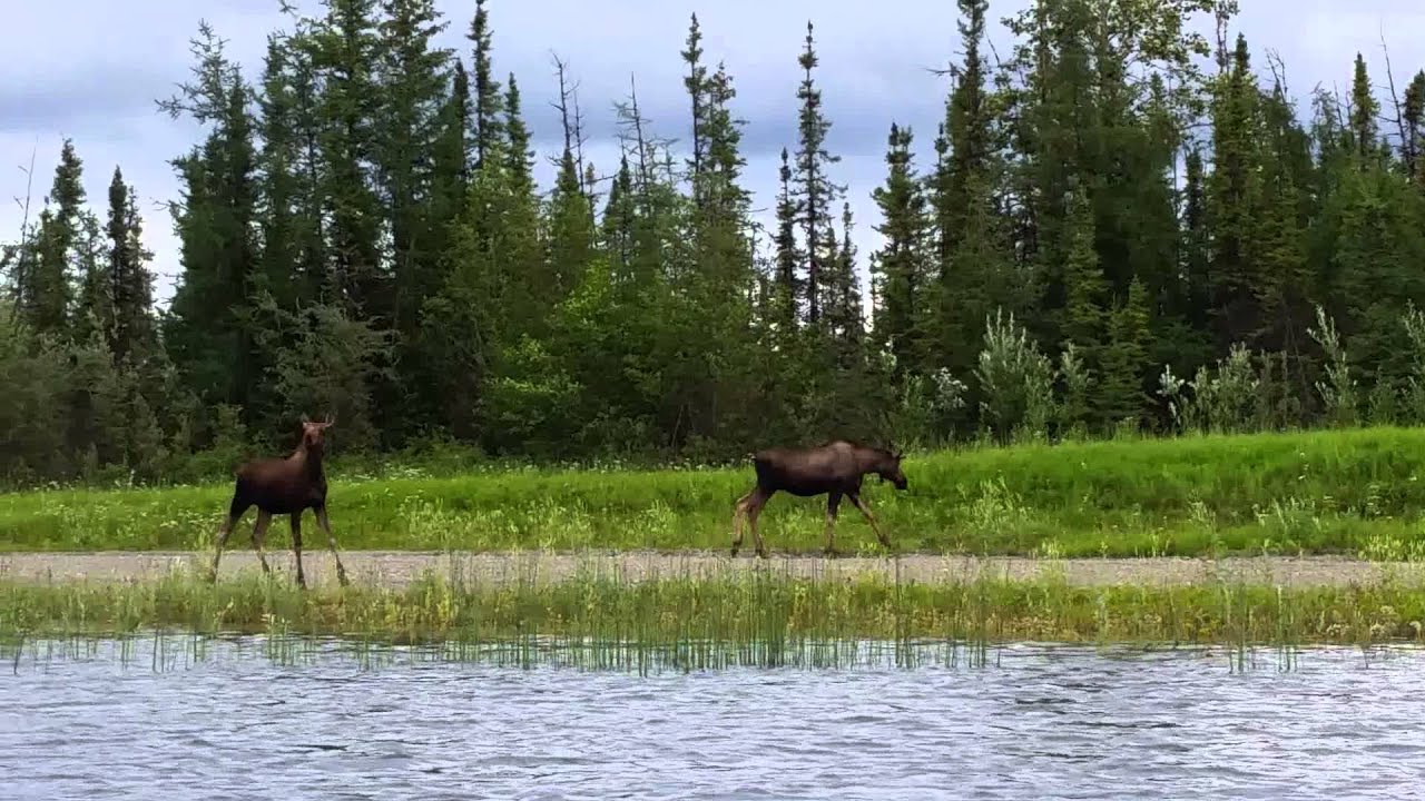 Mullins Pit Fishing - YouTube