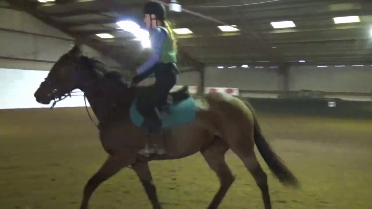 Flatwork Lesson - YouTube