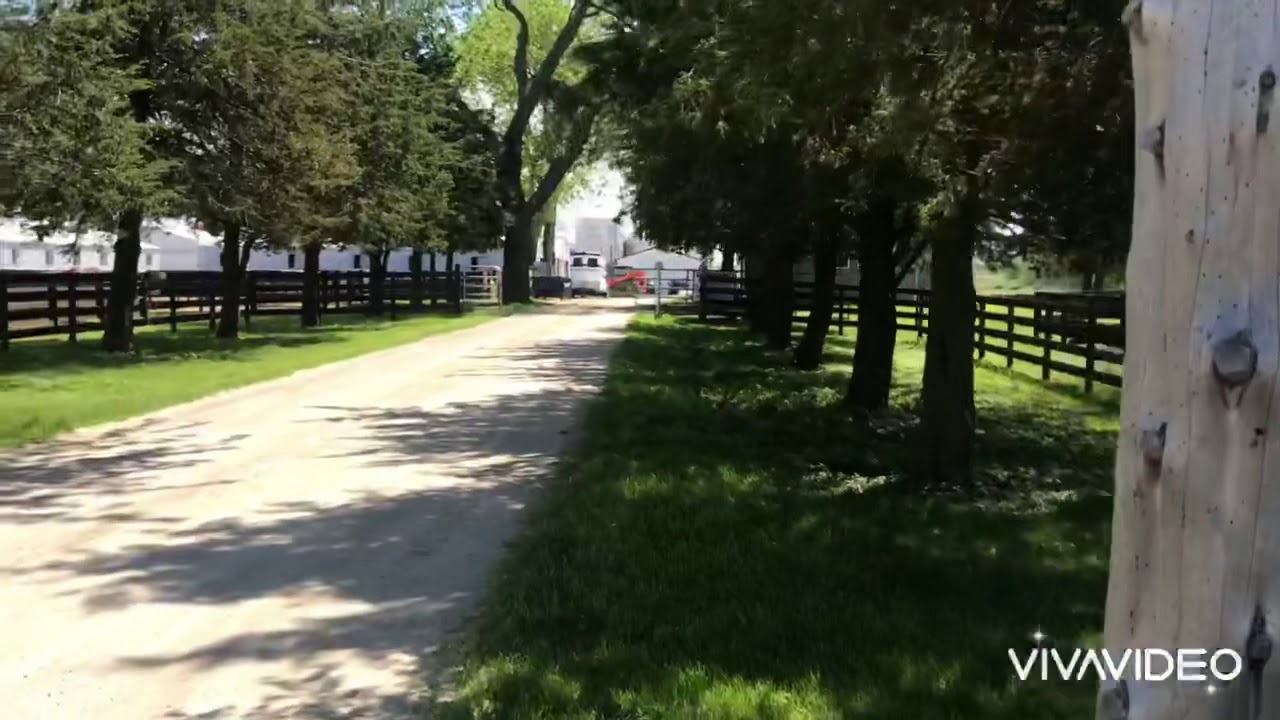 Welcome to Red Horse Ranch home of Pleasant Hill Equestrian - YouTube