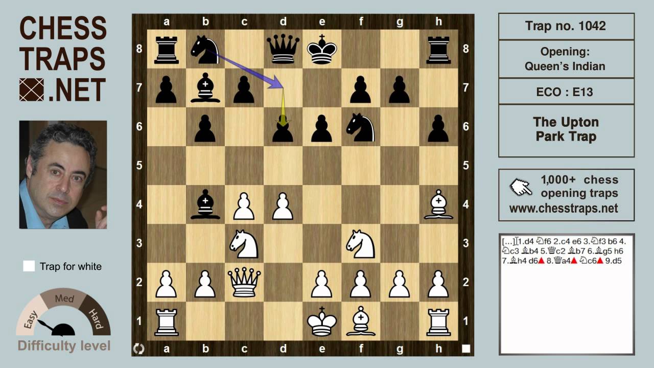 How to play queens gambit declined - houseofdsae