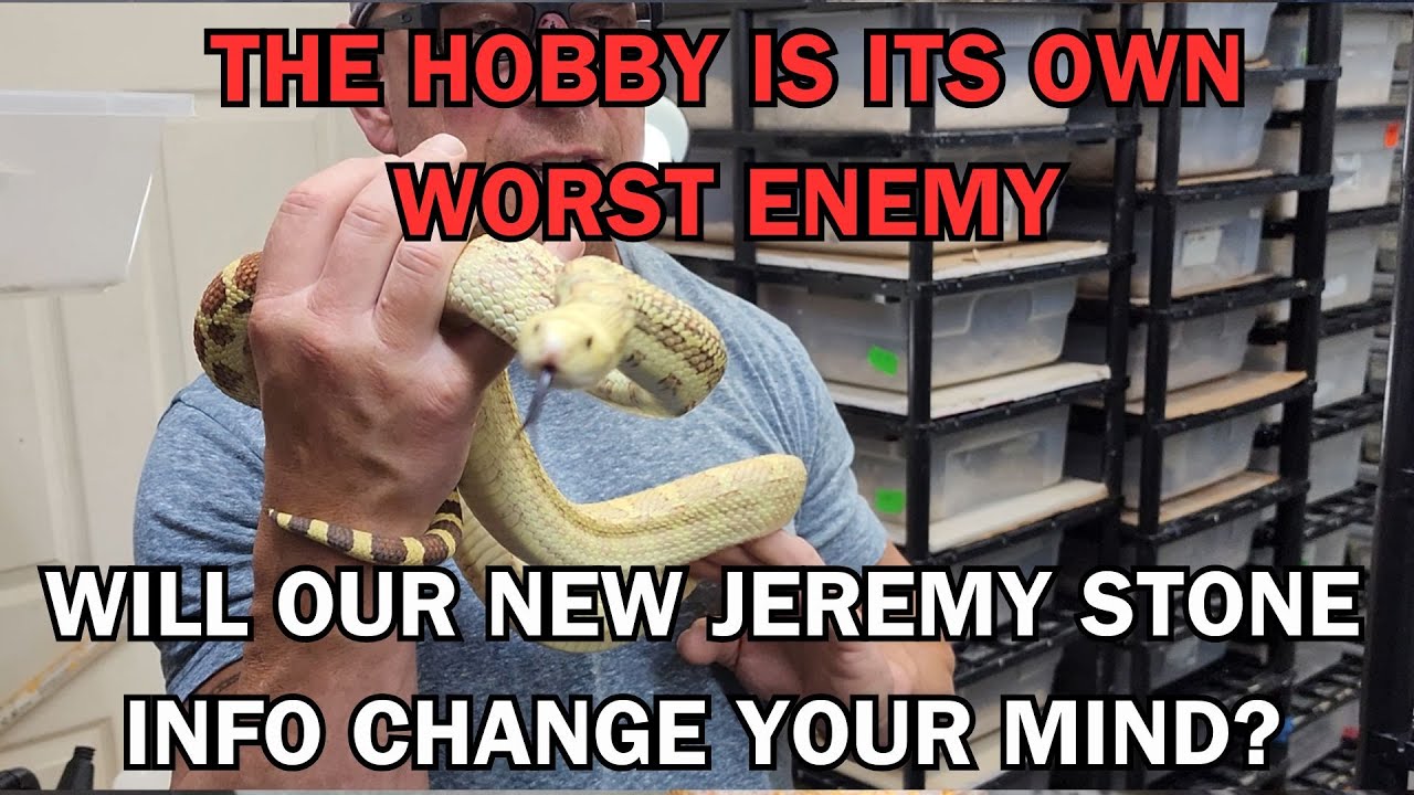 We have NEW INFO on the JEREMY STRONG controversy. Does it matter ...