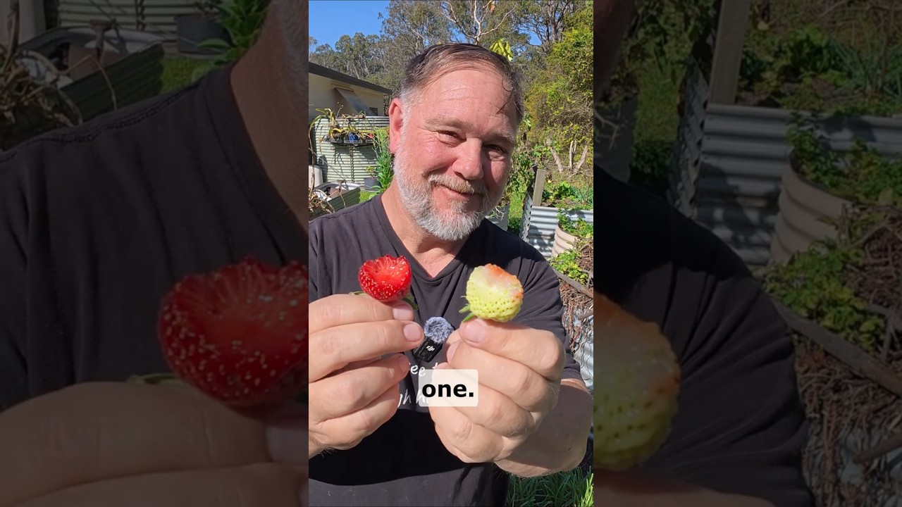 Farming - Self Sufficient Me