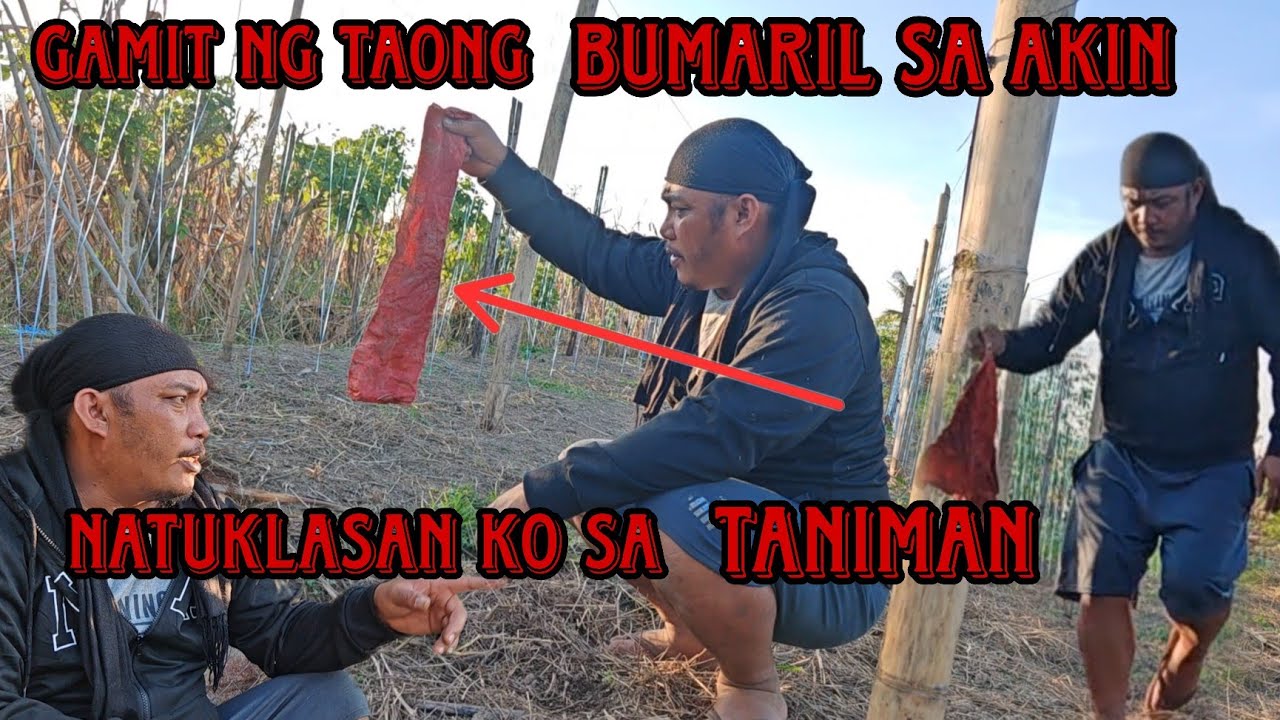 Gamit ng taong bumaril sa akin sa taniman natuklasan ko - YouTube