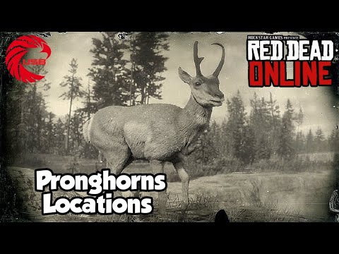 Pronghorns Locations rdr2 Online - Red Dead Online Pronghorns Location ...