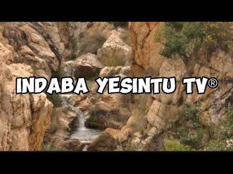 DR BONGA:UPHONDO LWAMAMDLA. UPHONDO LWEMALI ABAFANA BOMCEBO.. INJULO ...