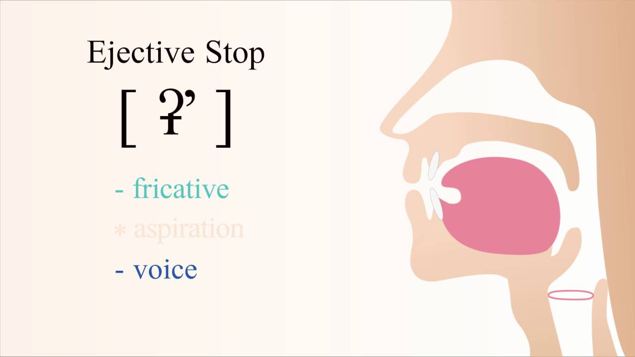 [ ʡʼ ] unvoiced radical pharyngeal ejective stop - YouTube