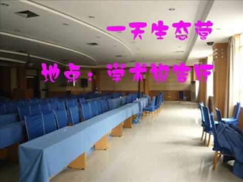 Ecoventure 2009： Chong Qing Foreign Language School trailer