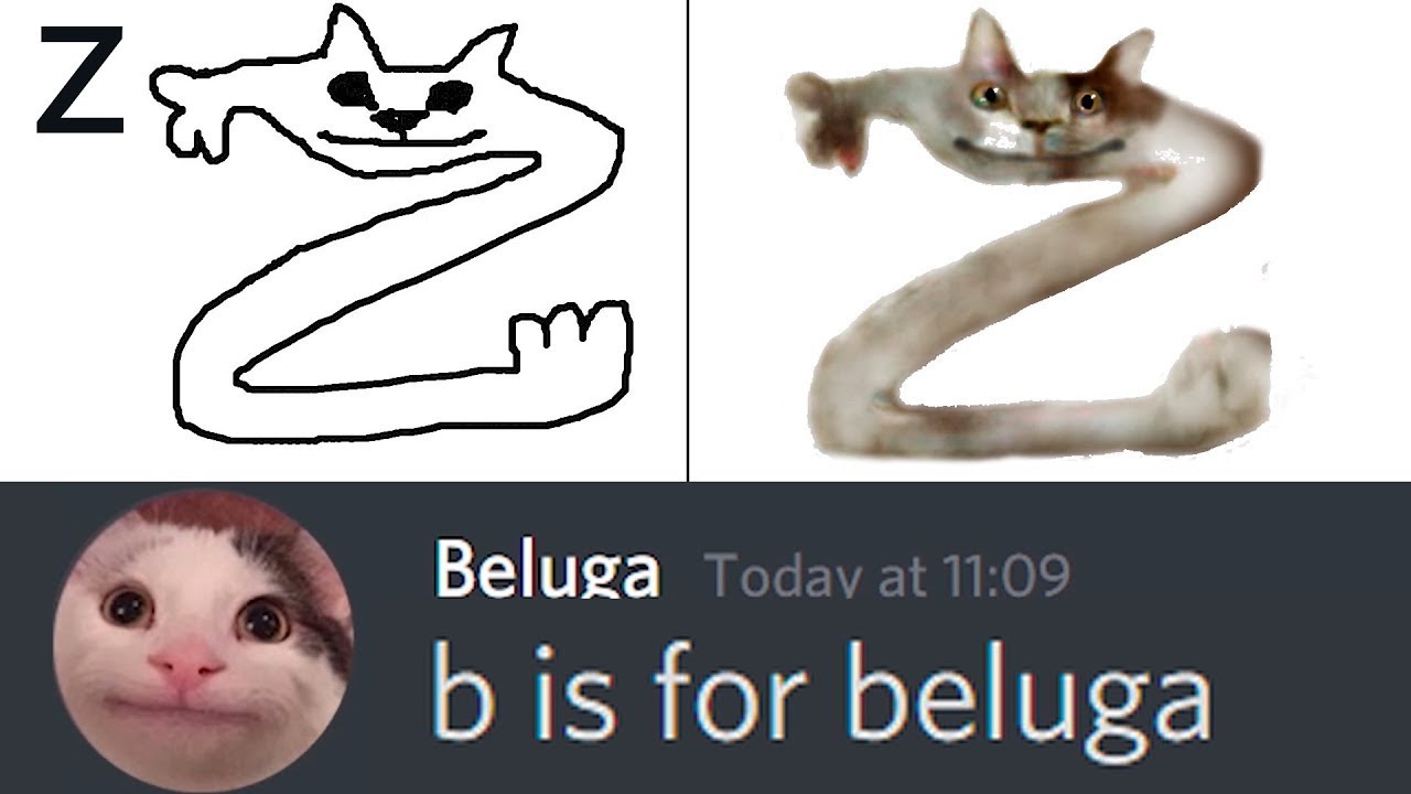 Learn the Alphabet with Beluga cat - YouTube