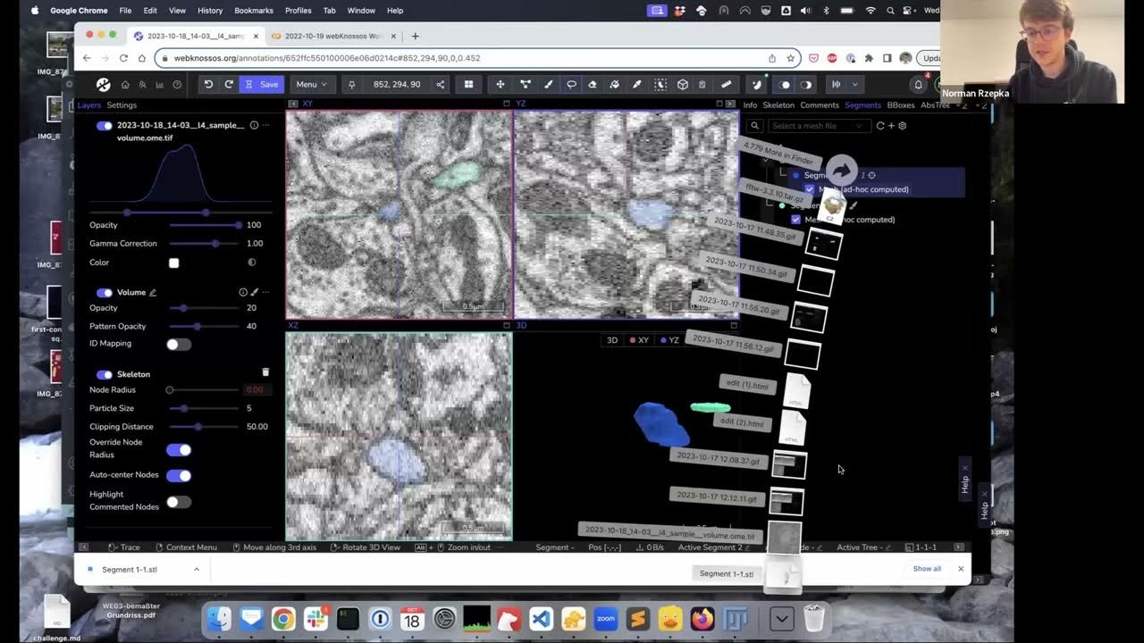 Collaborative annotation of large 3D images with WEBKNOSSOS - YouTube