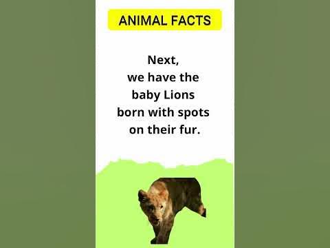 💥 Adorable Baby Animal Facts That Will Melt Your Heart 🐘🦁🦒💥 | # ...