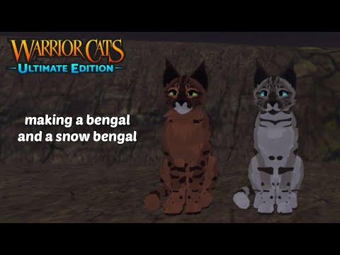 Making a bengal + snow bengal morph in warrior cats ultimate edition ...