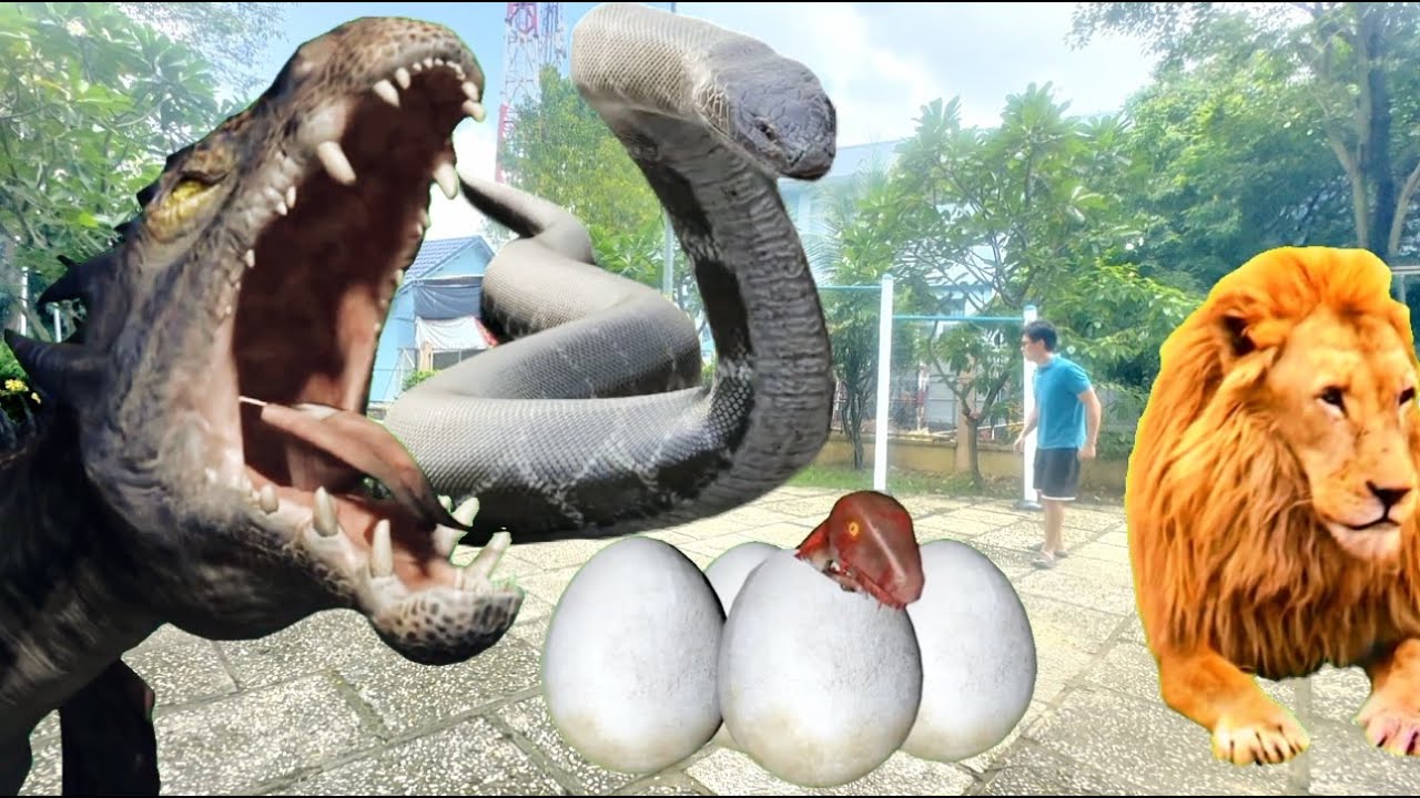 Learn animal sounds: dinosaurs, lion, flying dragon, turtle, snake ...