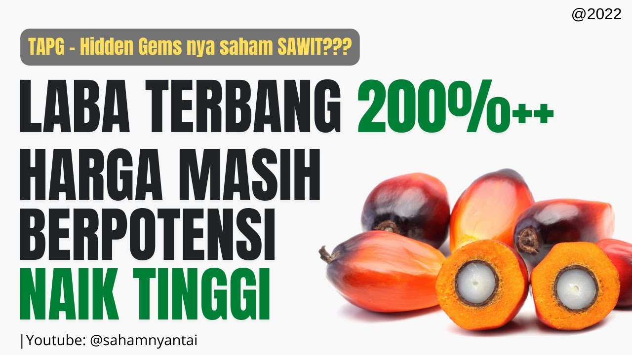 Analisa & Prospek saham TAPG (Triputra Agro Persada Tbk) - Kuartal III ...