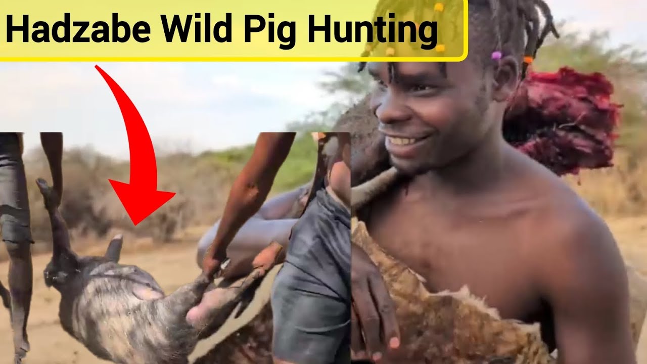 See ‼️🤫 How Hadzabe Tribe Hunting Pig For Lunch | Hadzabe Tribe - YouTube