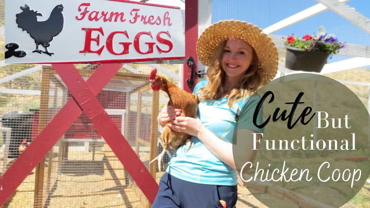 Summer Chicken Coop Ideas | Cute and Functional Chicken Coop Ideas ...