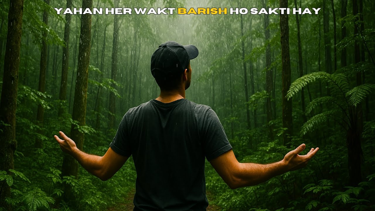 Exploring Mir's Mini Forest Khathar Sindh - YouTube