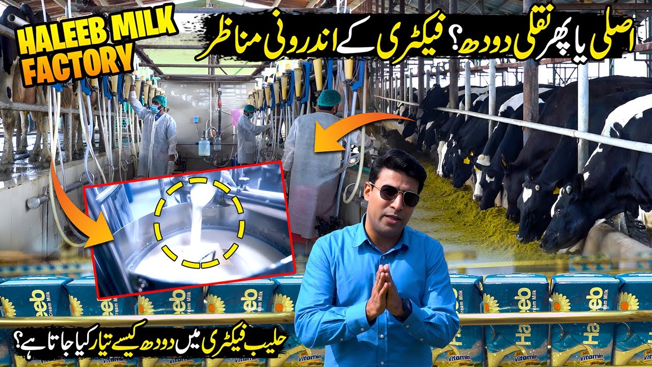 Truth Behind Haleeb Milk | Inside Factory Secrets Revealed | Made In ...