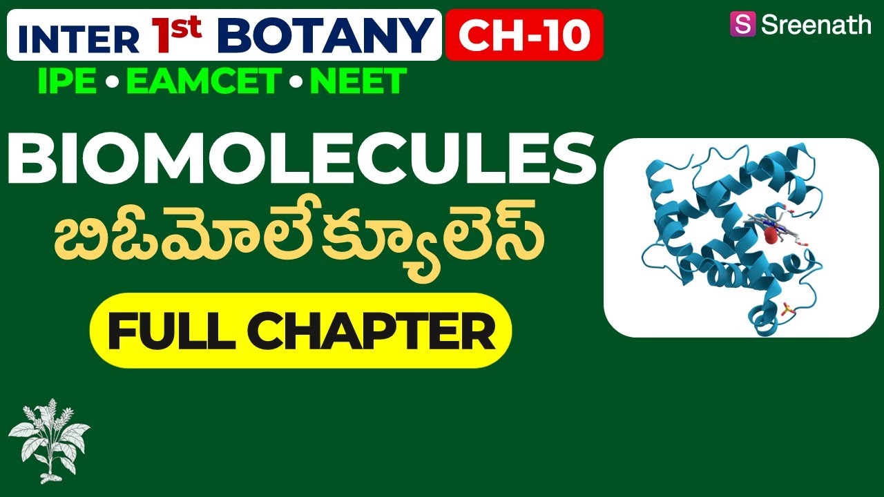 Biomolecules: Full Chapter in తెలుగు | TS/AP Inter 1st Year Botany | Chapter 10 | Sreenath ...