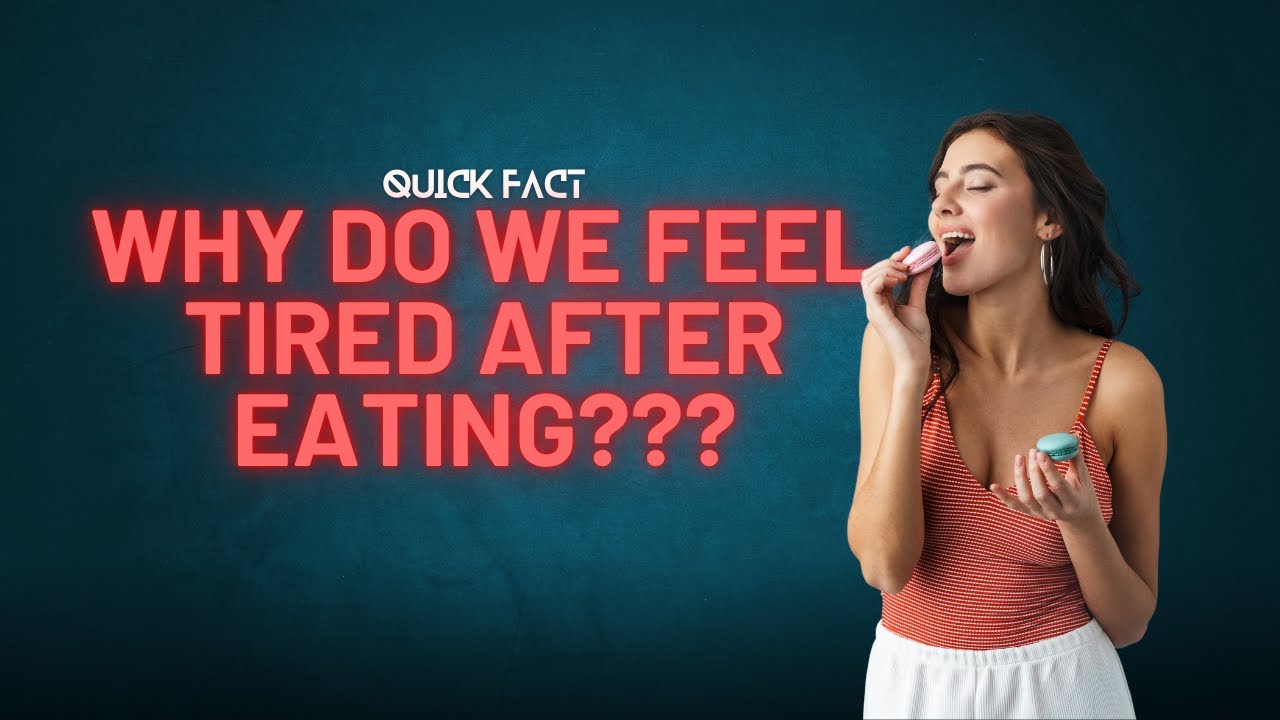 Why Do We Feel Tired After Eating 🍔😴 - YouTube
