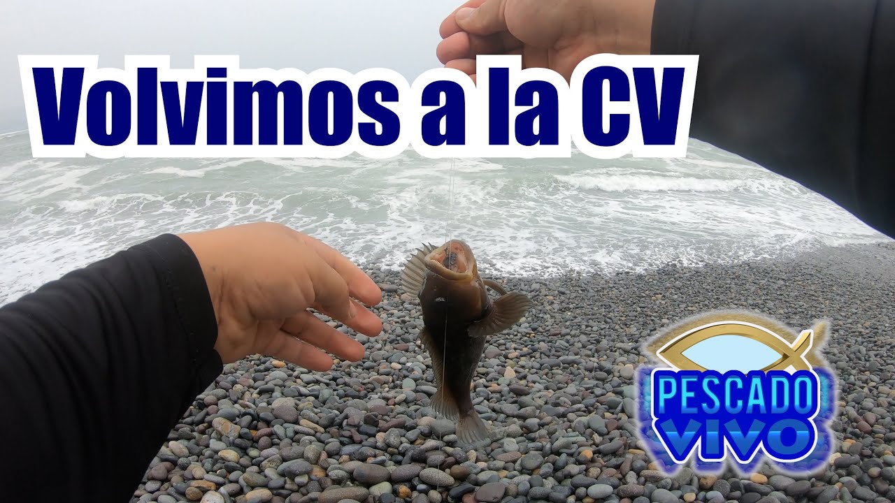 VOLVÍ a PESCAR en la COSTA VERDE Y mira como me recibe - YouTube