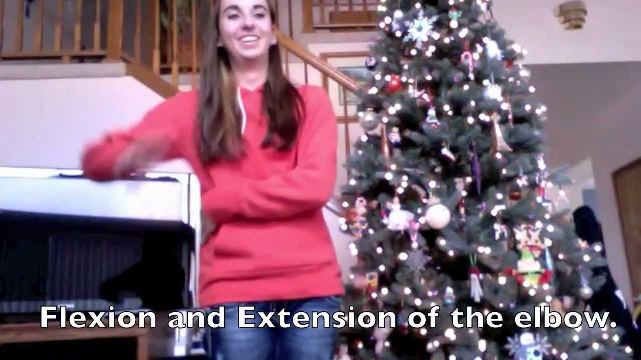 Anatomy Muscle Movements Dance! :) - YouTube