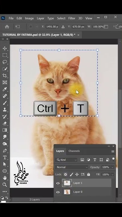 Warp Tool _ Photoshop Tutorial - YouTube
