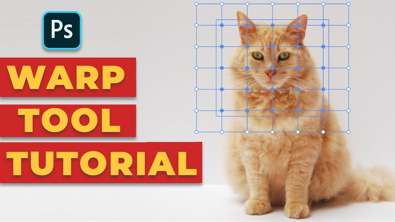 Warp Tool _ Photoshop Tutorial - YouTube