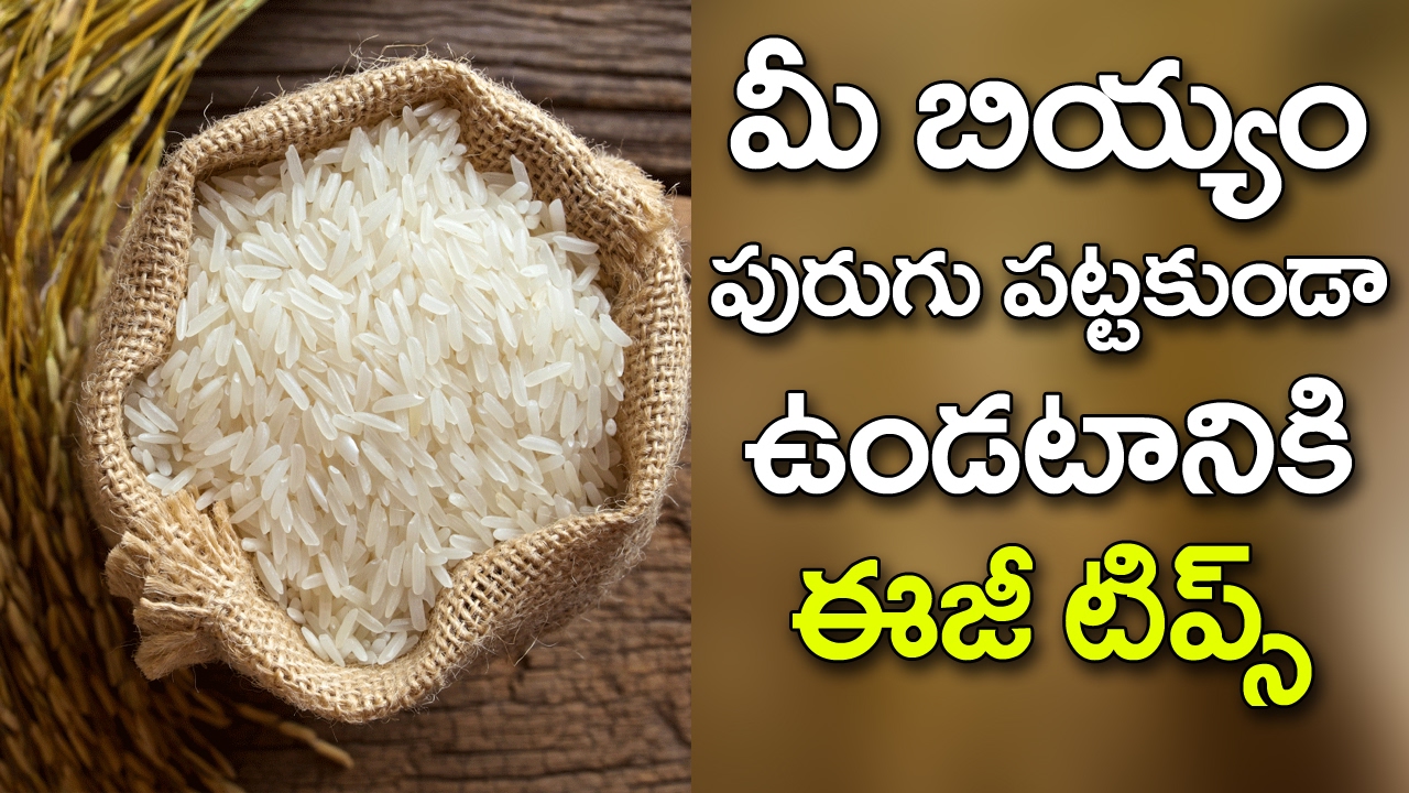 How to Store Your RICE Easily at Home Away From Insects? | Best Kitchen ...