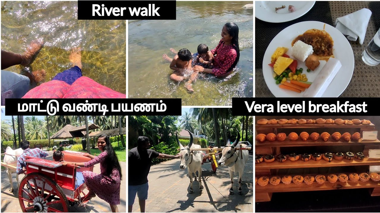 Day in Pollachi -2||Coco Lagoon resort -2||River walk||Vera level Breakfast 🥞||மாட்டு வண்டி ...