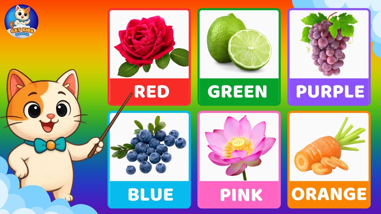 🌈 Learn Colors for Kids with Real-Life Objects | Color Flashcards for ...