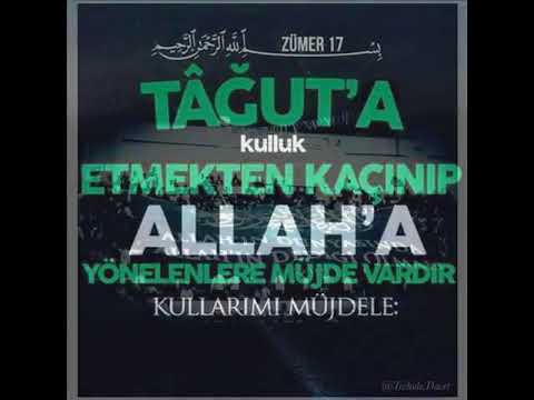 Ne Güzel Günlerdi - Zamanun Jameel