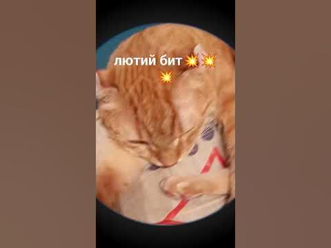 бум бокс🤗🤗🤗 - YouTube