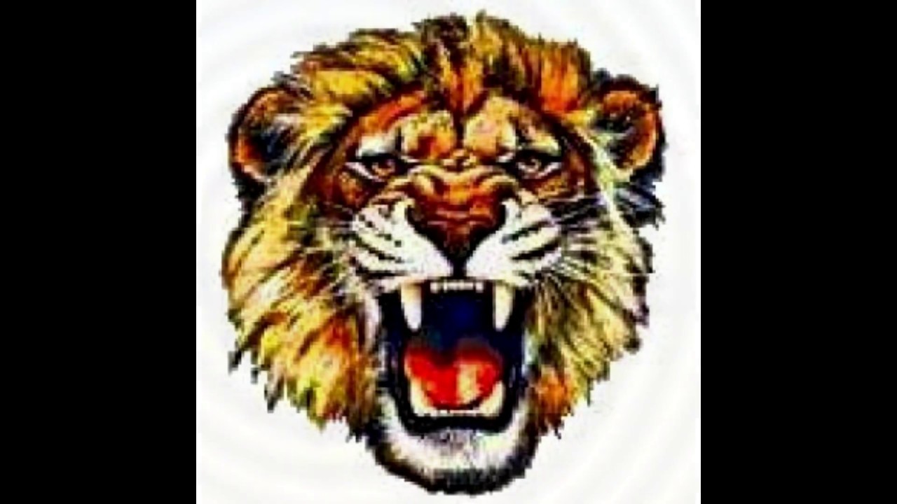 Интернациональный клан [LI0N-] PRIDE_OF_LIONS - YouTube