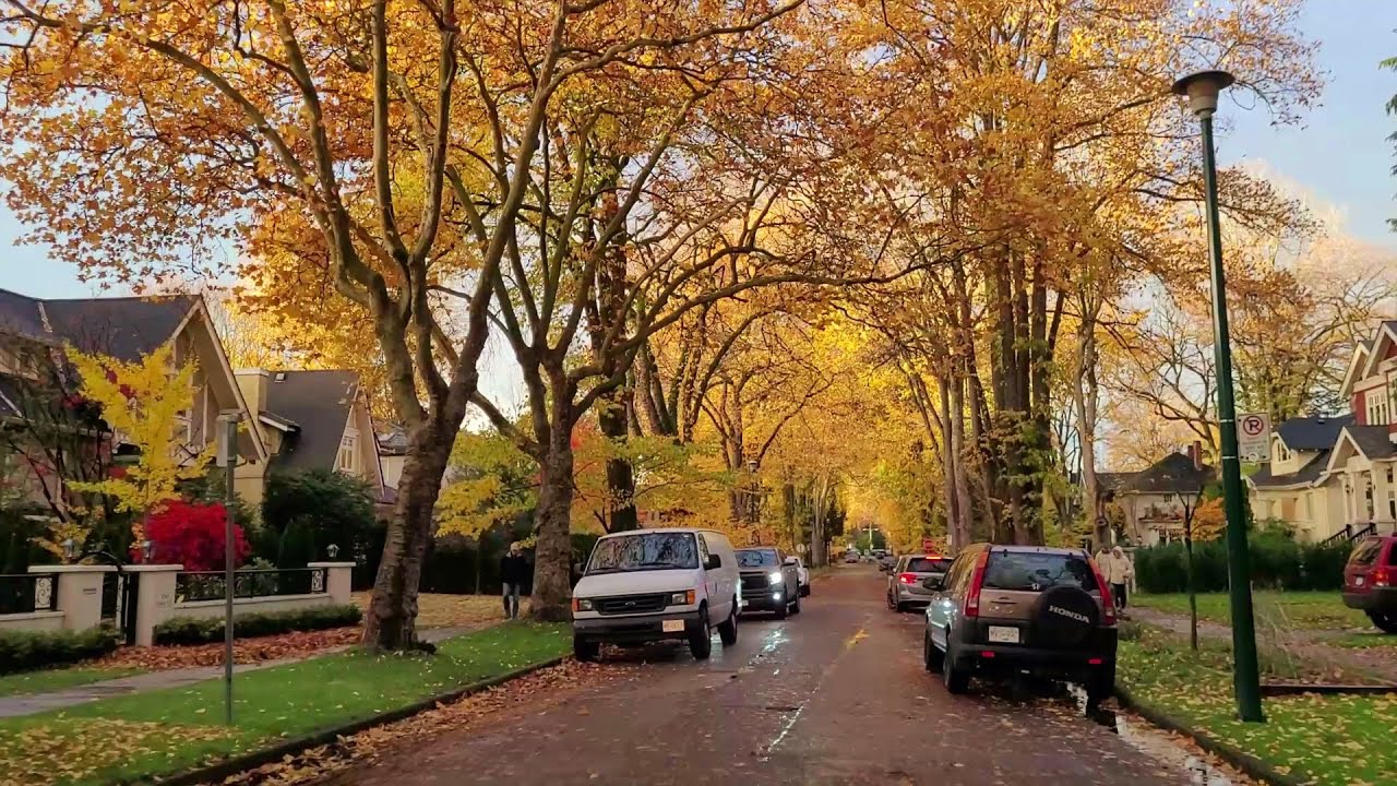 Autumn 2021 Driving in Vancouver Point Grey Shaughnessy | British ...
