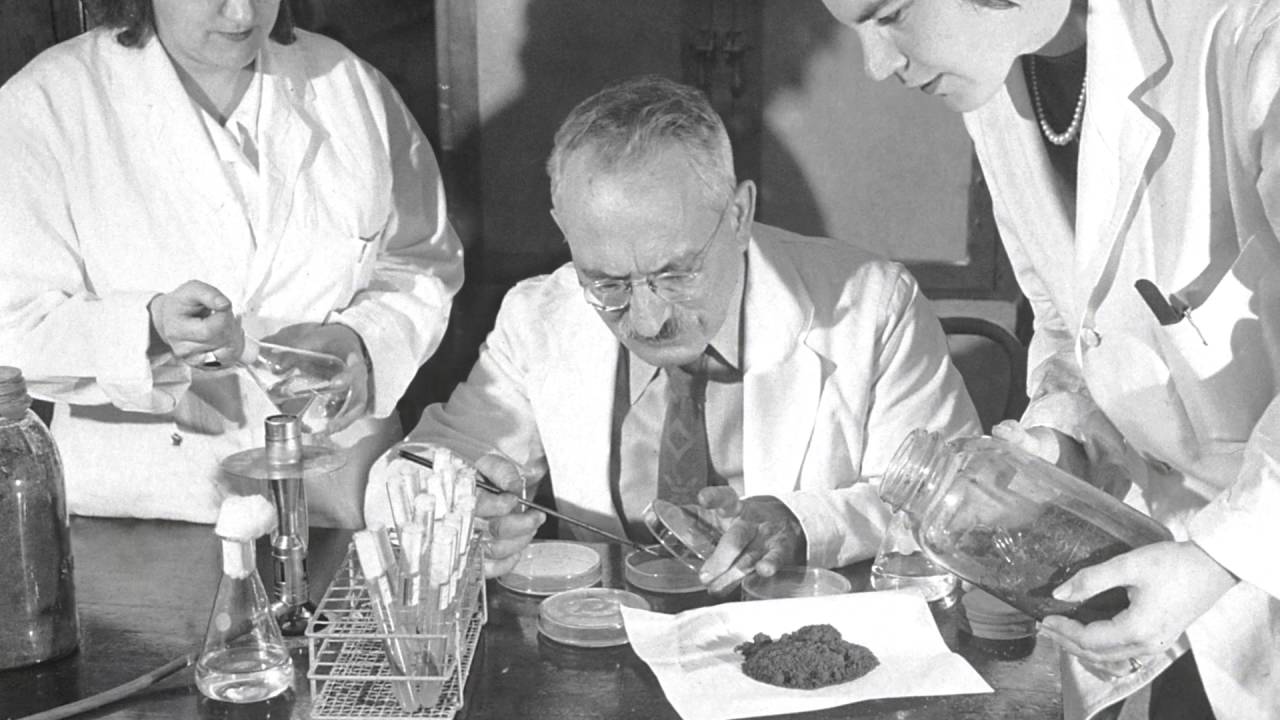 Rutgers and Streptomycin: First Tuberculosis Treatment - YouTube